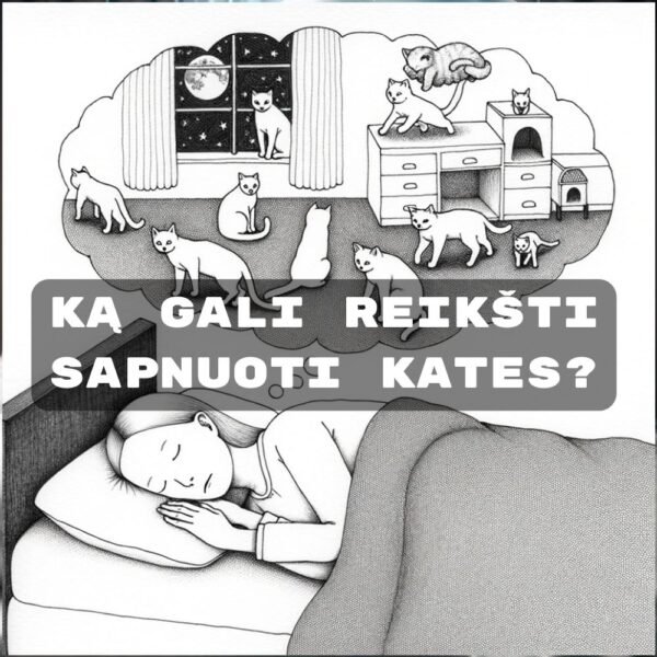 Sapnininkas | Sapnų Reikšmės | Informatyvus Aiškinimai |EKUS