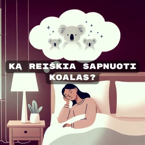 Sapnuoti Koalas | Sapnų Aiškinimas | Sapnininkas EKUS